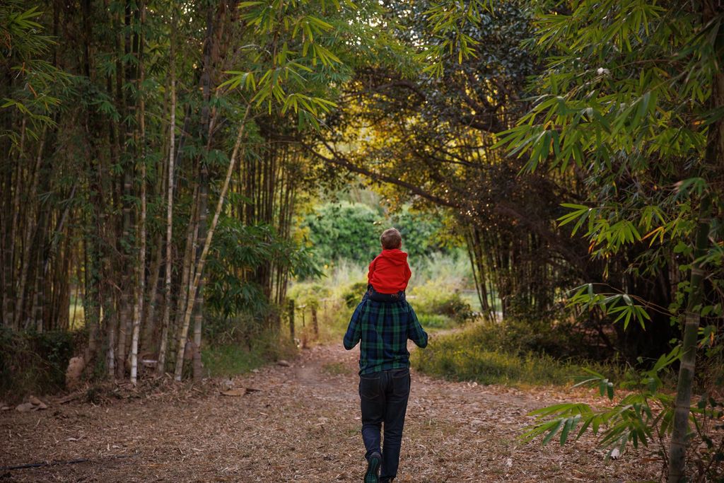 Bamboo Farm Adventure | Tiny Away | Farm Stay QLD, Fraser Coast Region