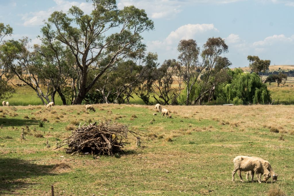 Exploring The Charm Of Boorowa | Tiny Away | Tiny House NSW